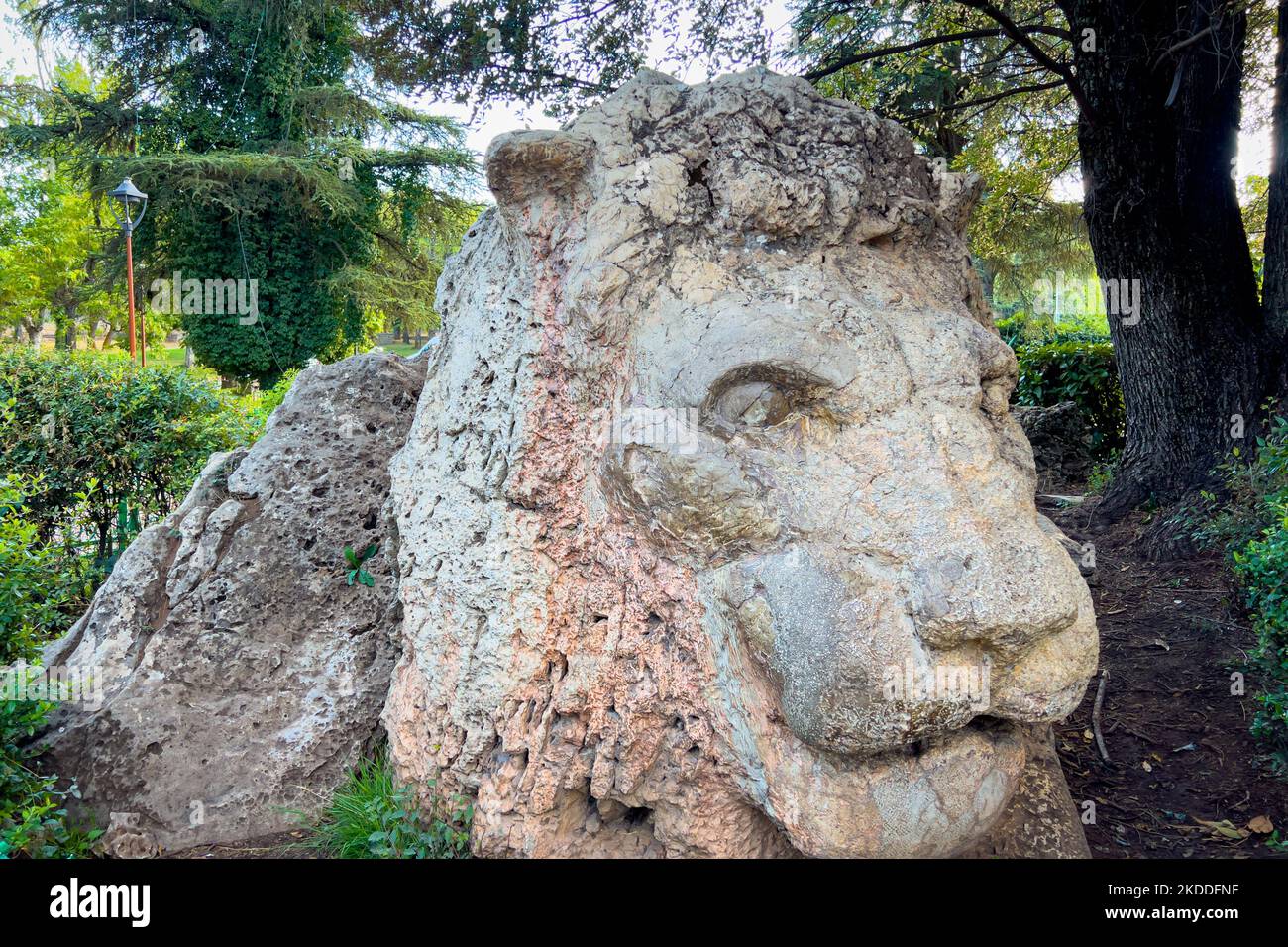 Lion statue in ifran morocco hi-res stock photography and images - Alamy