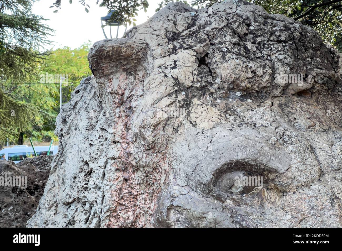 The Lion statue in Ifran Stock Photo - Alamy