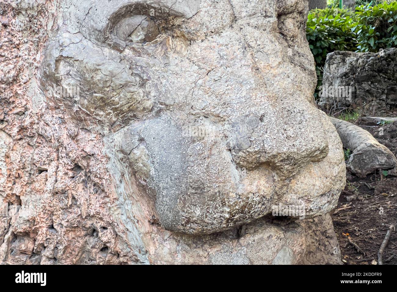 The Lion statue in Ifran Stock Photo - Alamy