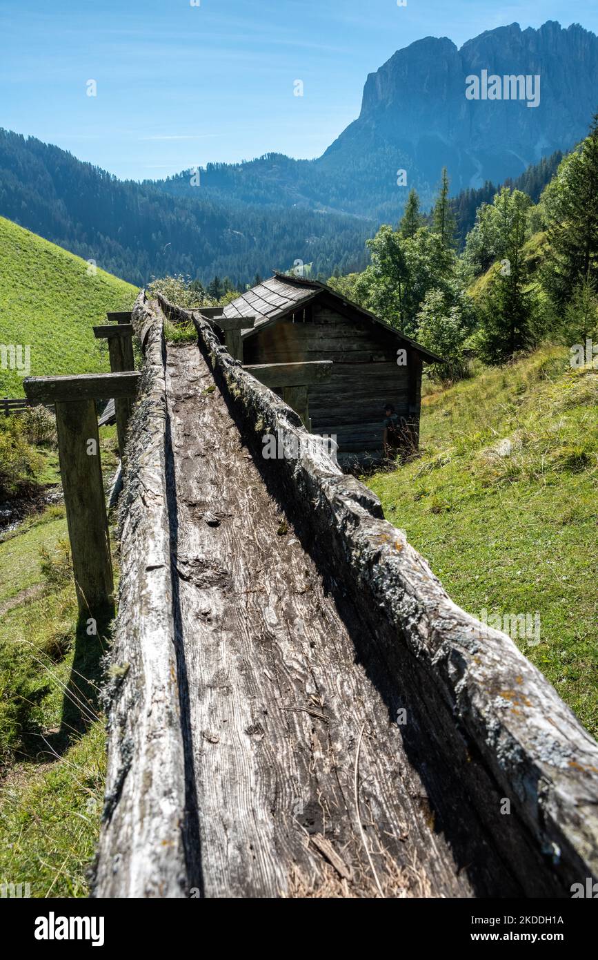 An old wooden inlet channel of a watermill in Val di Morins, the ...