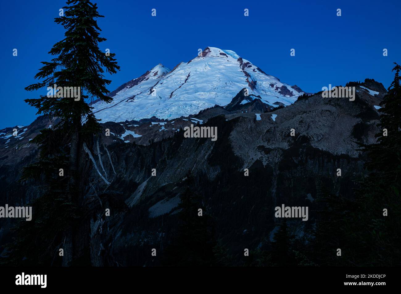 WA22707-00...WASHINGTON - View of Mount Baker at dawn from Artist Point ...