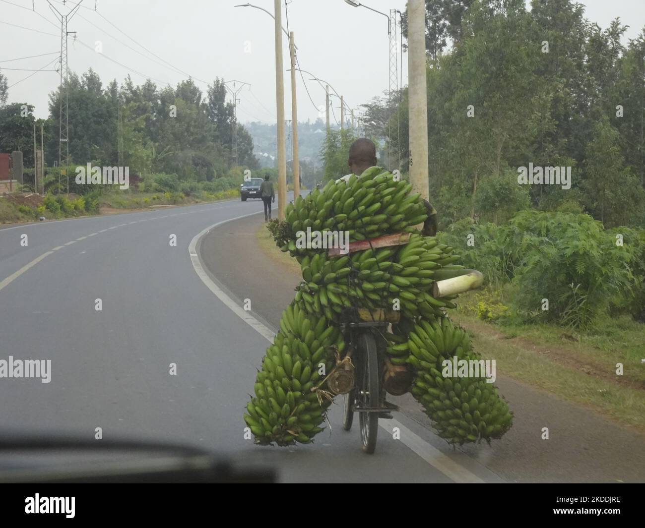 (Near) Kigali, Rwanda, 28th August, 2022 Manual banana transportation ...