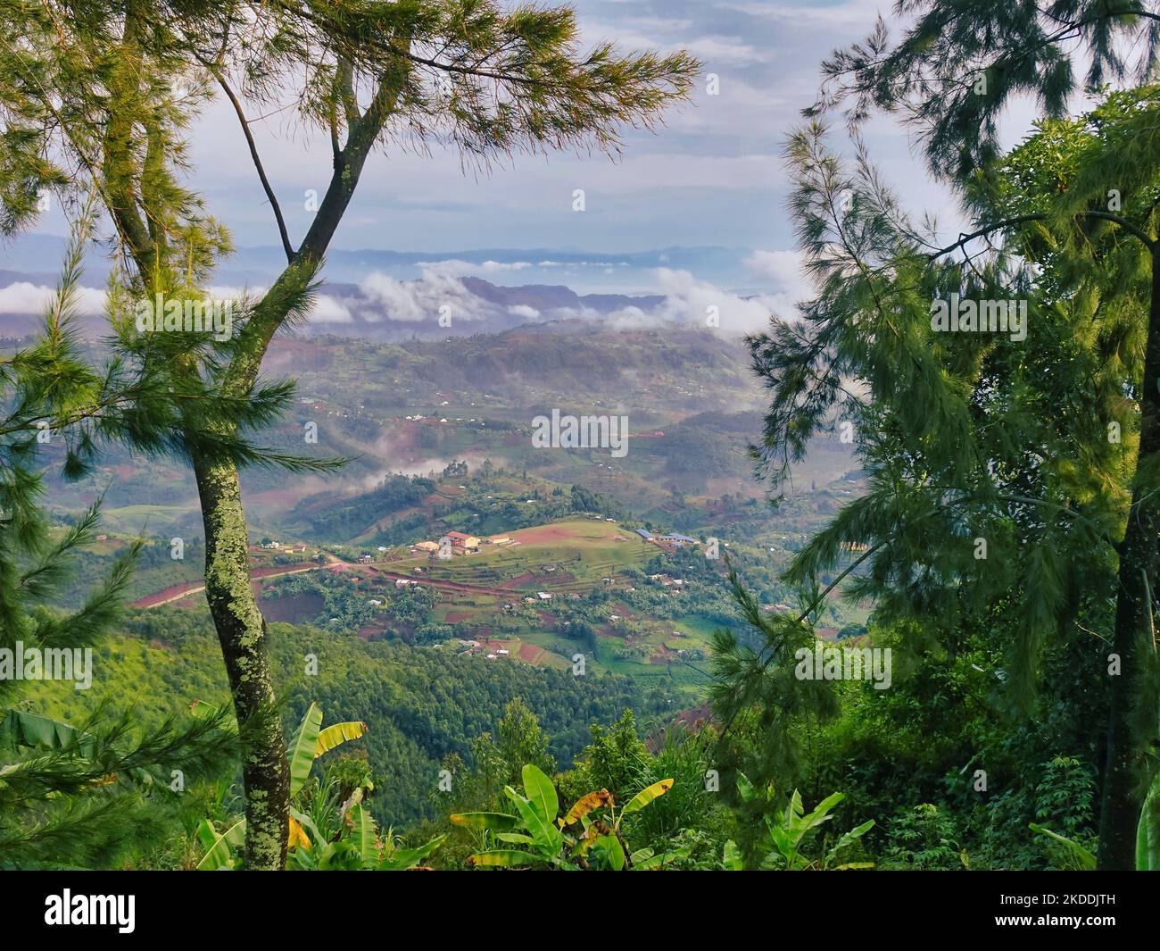 Nyungwe Top View Hill Hotel . Rwanda, 30th August 2022 Panoramic Views ...