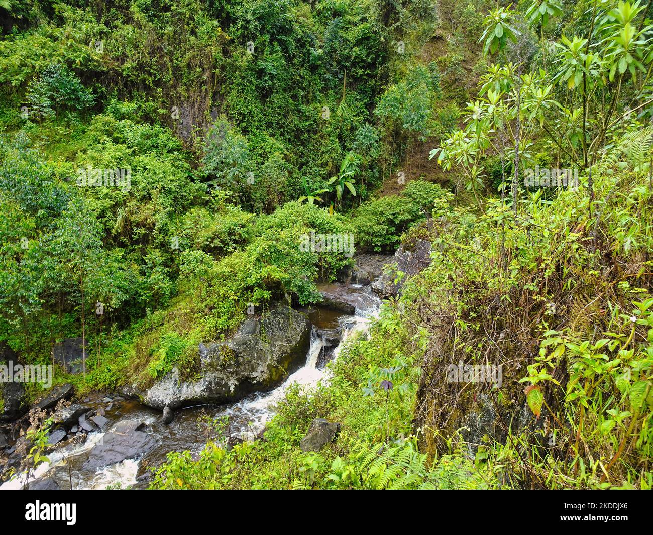 Nyamasheke District, Rwanda 30th August 2022 Waterfall in the tea and ...