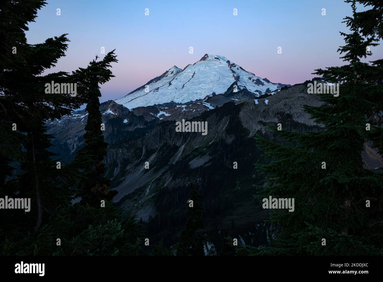 WA22712-00...WASHINGTON - Mount Baker at dawn from Artist Point in the ...