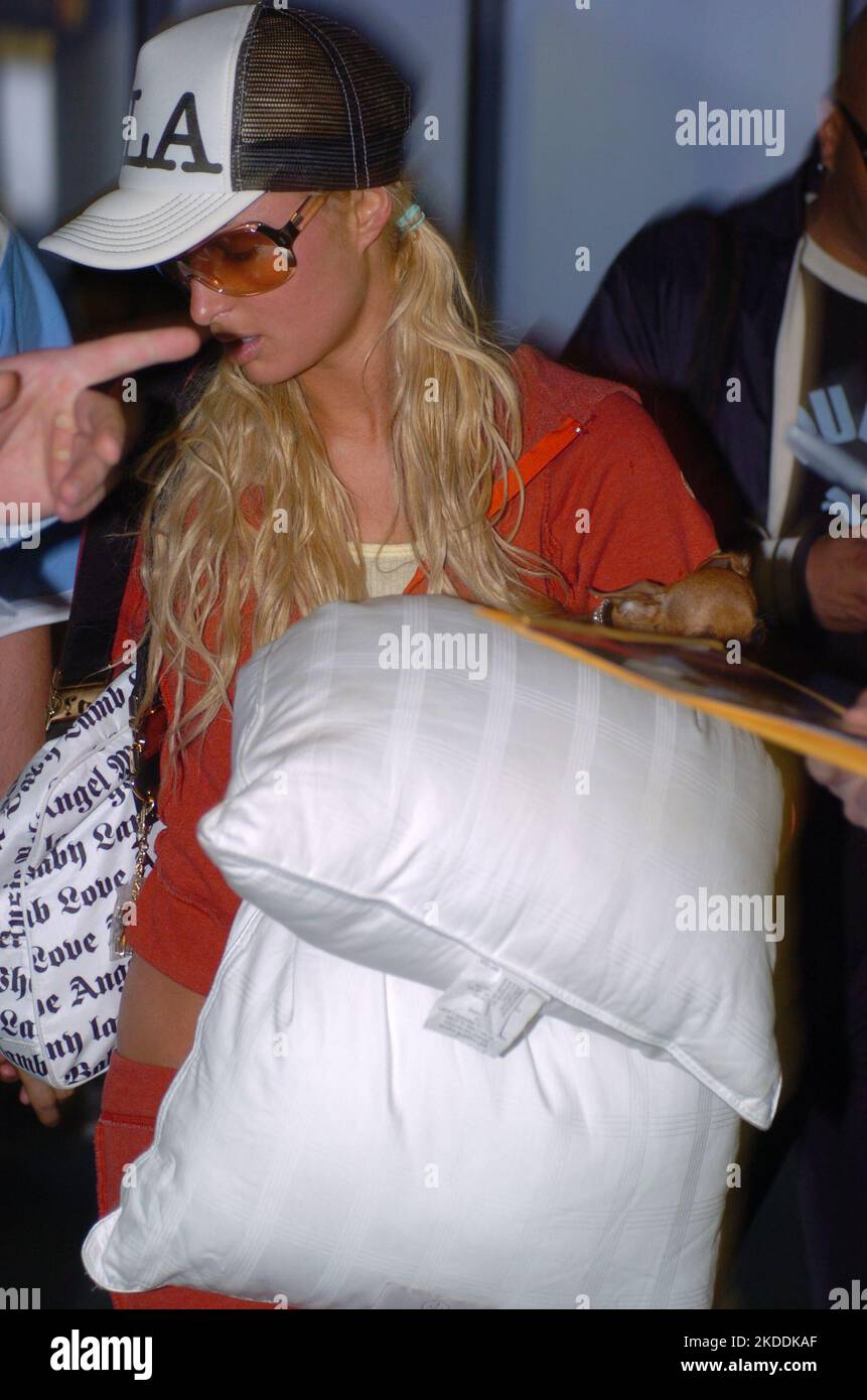 MIAMI, FL - 2004: Paris Hilton and her dog Tinker Bell along with ...