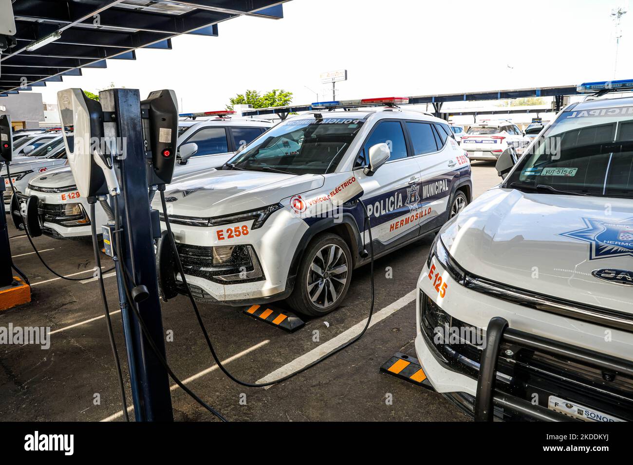 Electric patrols in the yard of the municipal police of Hermosillo ...