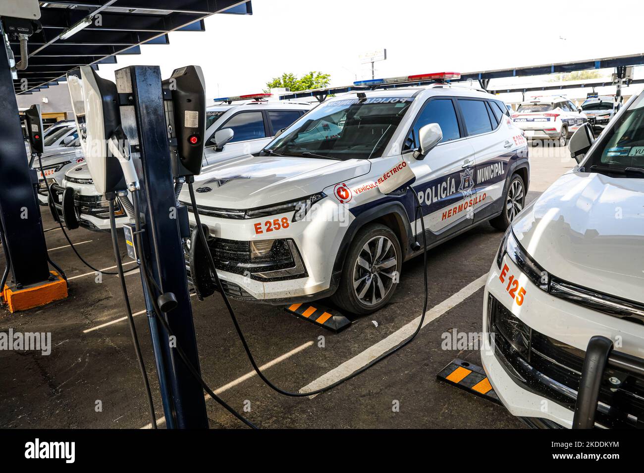 Electric patrols in the yard of the municipal police of Hermosillo ...