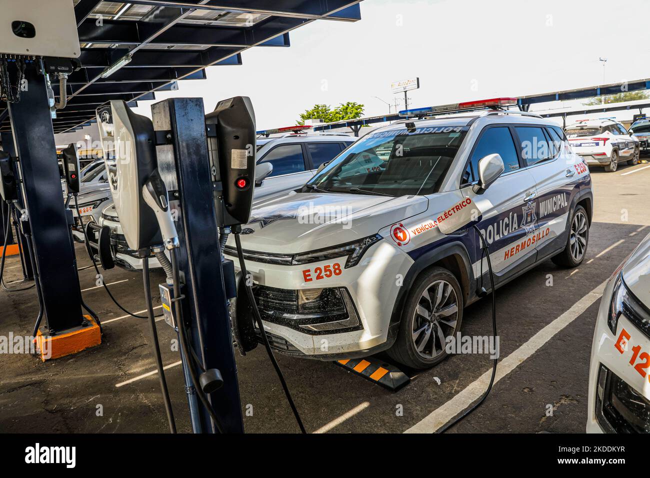 Electric patrols in the yard of the municipal police of Hermosillo ...