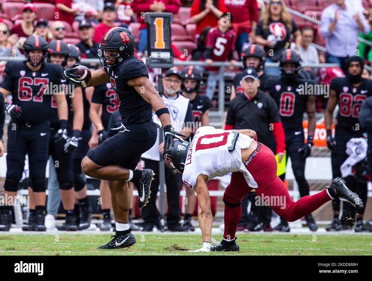 2022 0085 jpg hi-res stock photography and images - Alamy