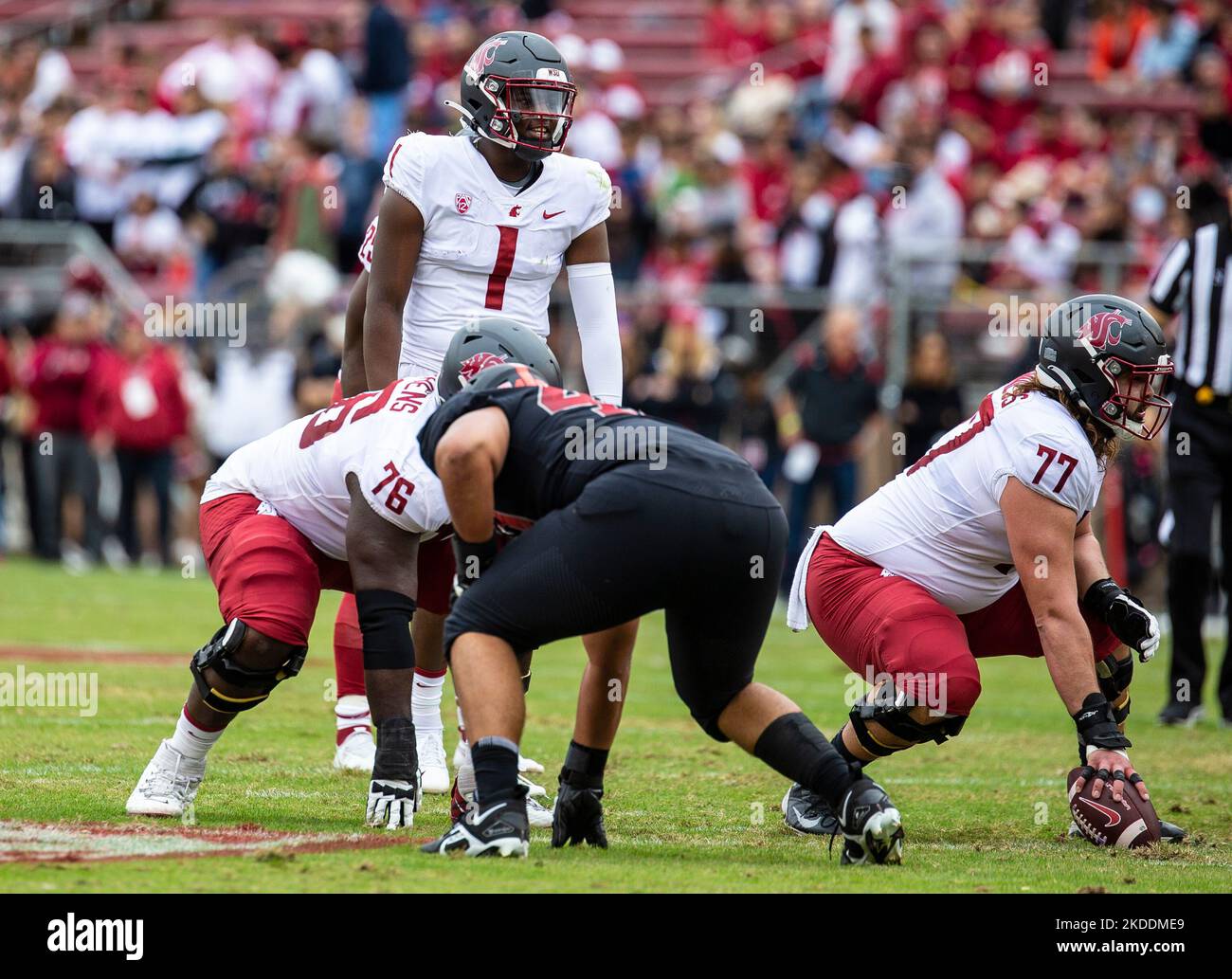 November 05 2022 Palo Alto, CA USA Washington State quarterback Cameron ...