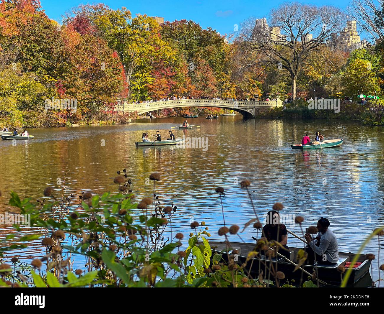 New York City, United States. 5th November, 2022. Fall Season hits New ...