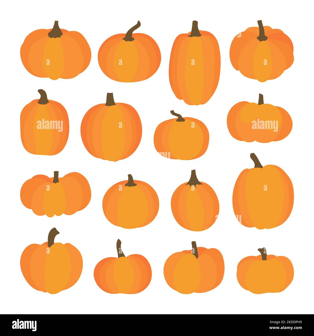 Various shaped pumpkins. Collection of hand drawn, vector illustrations ...