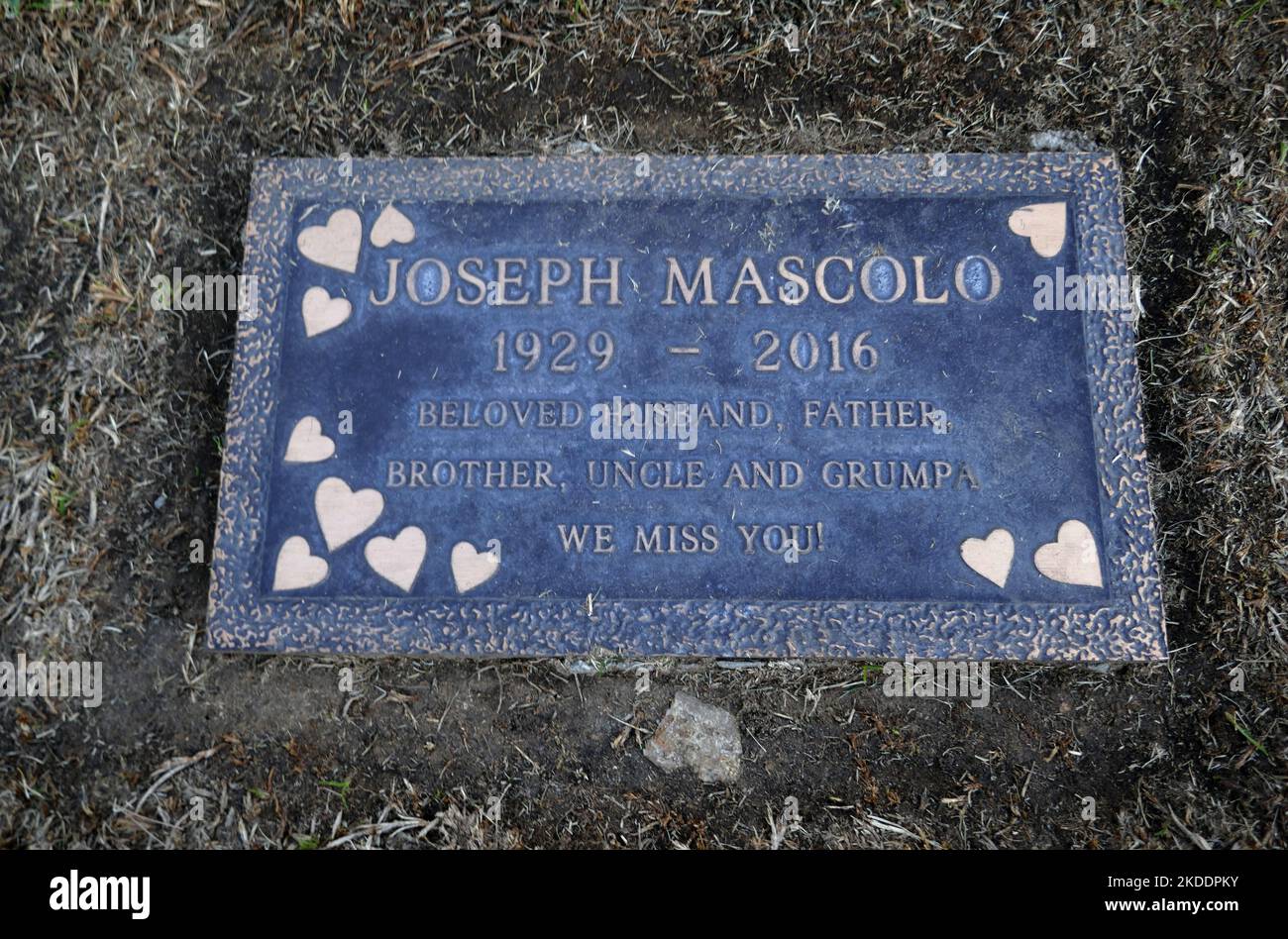 Los Angeles, California, USA 3rd November 2022 Actor Joseph Mascolo's ...