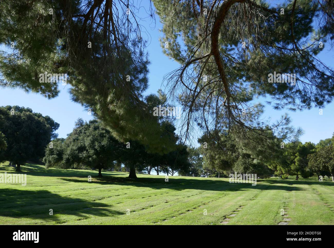 Los Angeles, California, USA 3rd November 2022 Former Lightweight ...