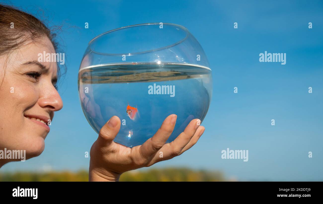 Woman holding round aquarium with goldfish on blue sky background Stock ...