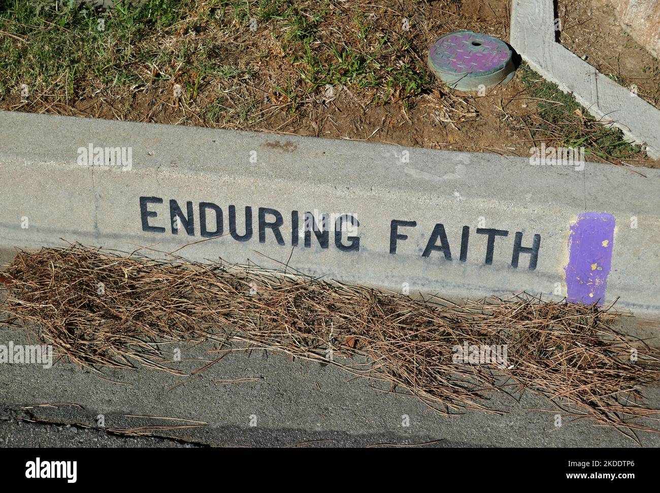 Los Angeles, California, USA 3rd November 2022 Enduring Faith at Forest ...