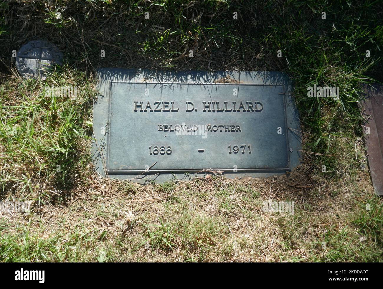 Los Angeles, California, USA 3rd November 2022 Actor Hazel Hilliard's ...