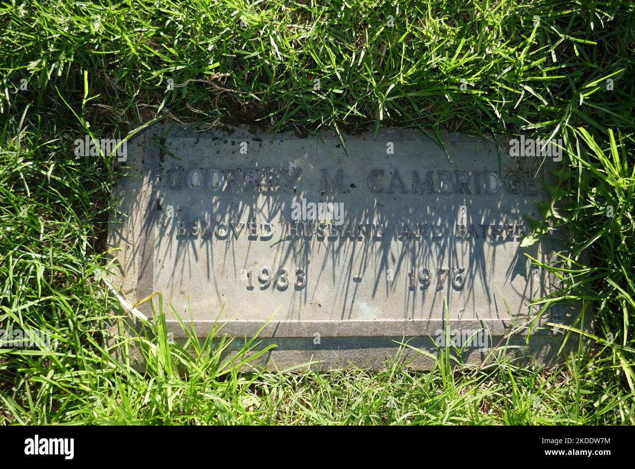Los Angeles, California, USA 3rd November 2022 Actor/Comedian Godfrey ...