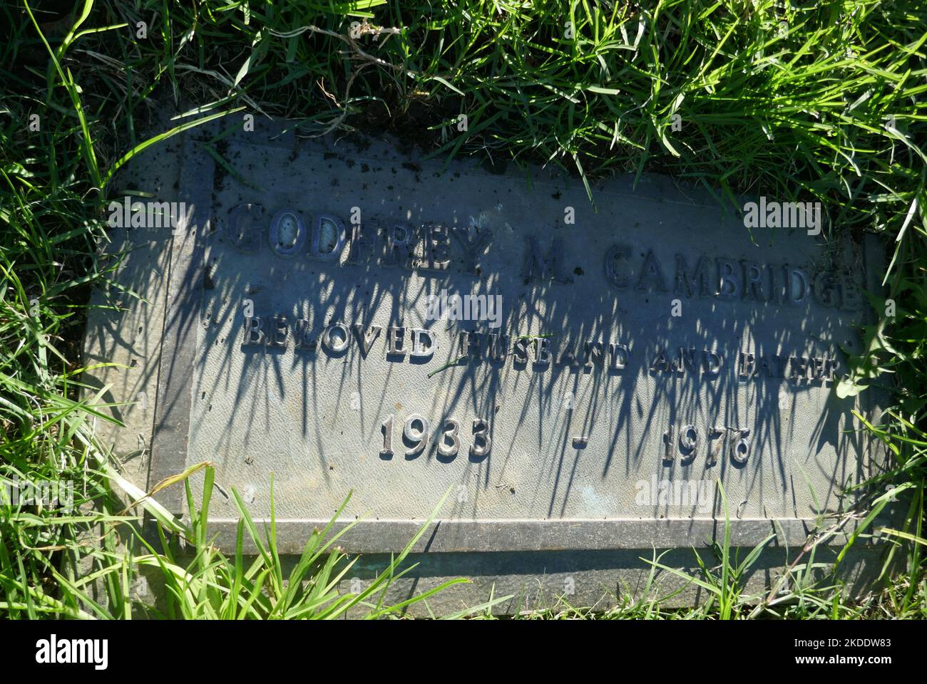 Los Angeles, California, USA 3rd November 2022 Actor/Comedian Godfrey ...