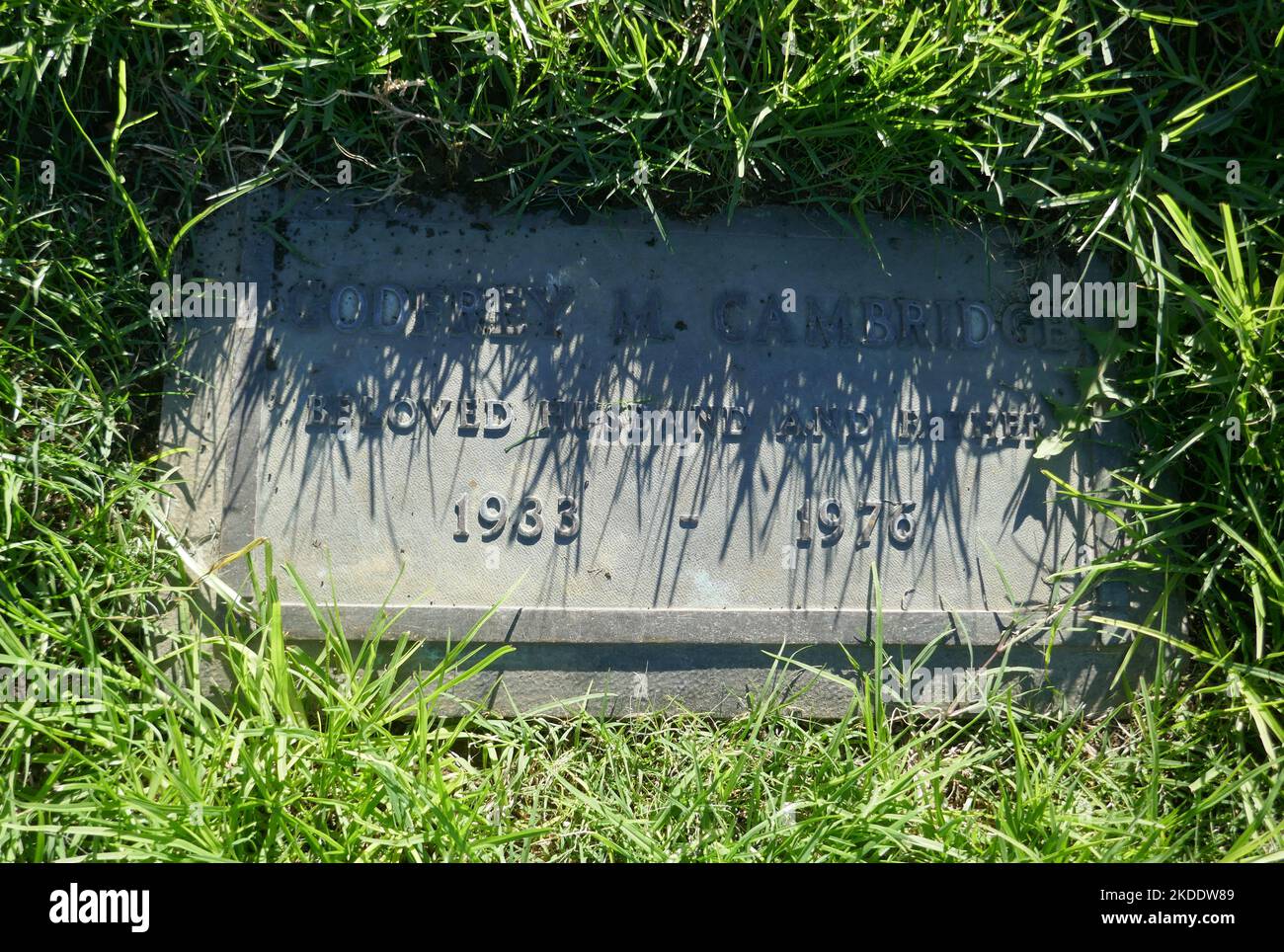 Los Angeles, California, USA 3rd November 2022 Actor/Comedian Godfrey ...