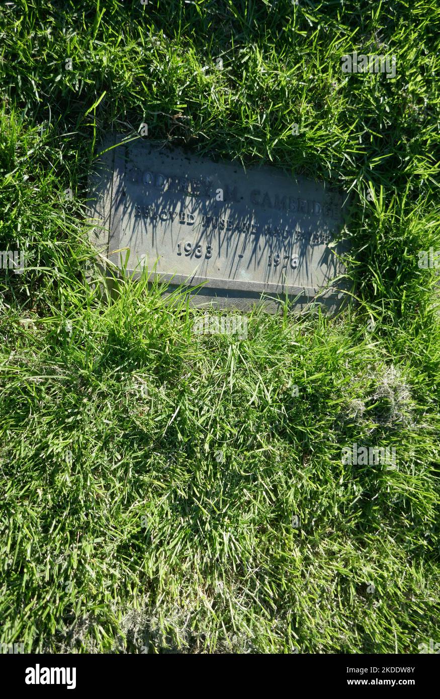 Los Angeles, California, USA 3rd November 2022 Actor/Comedian Godfrey ...