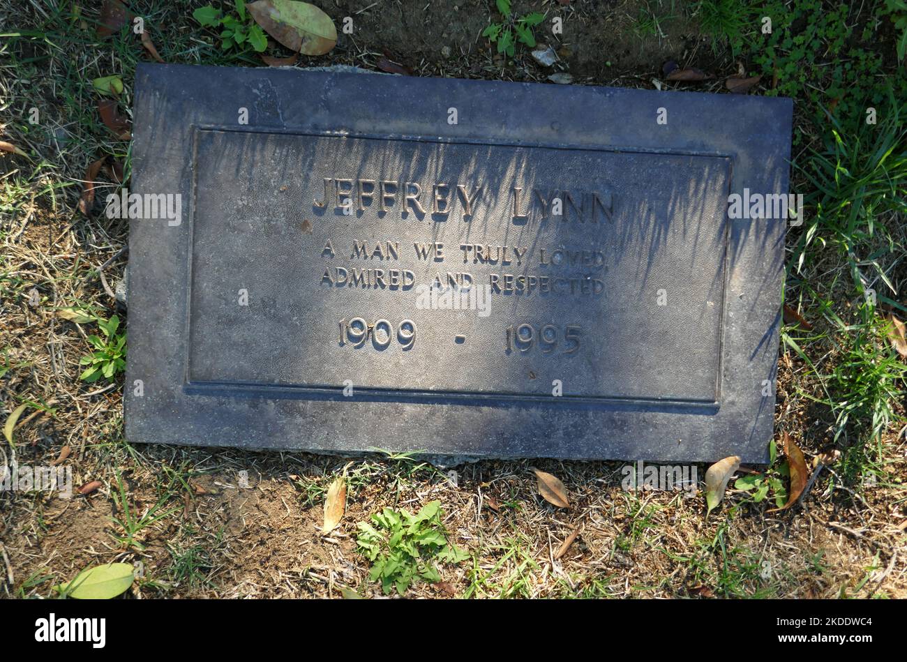 Los Angeles, California, USA 3rd November 2022 Actor Jeffrey Lynn's Grave in Murmuring Trees ...
