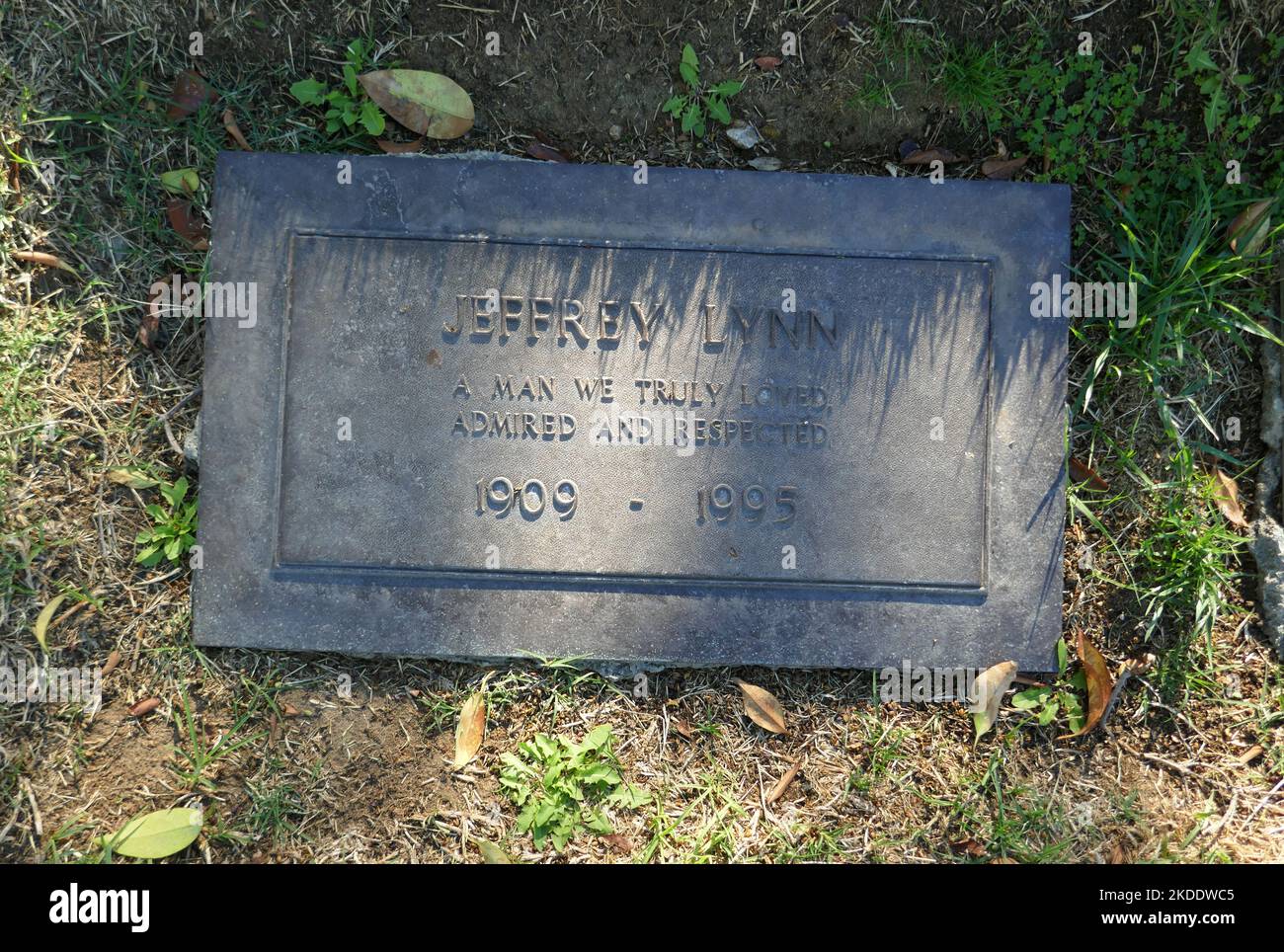 Los Angeles, California, USA 3rd November 2022 Actor Jeffrey Lynn's Grave in Murmuring Trees ...