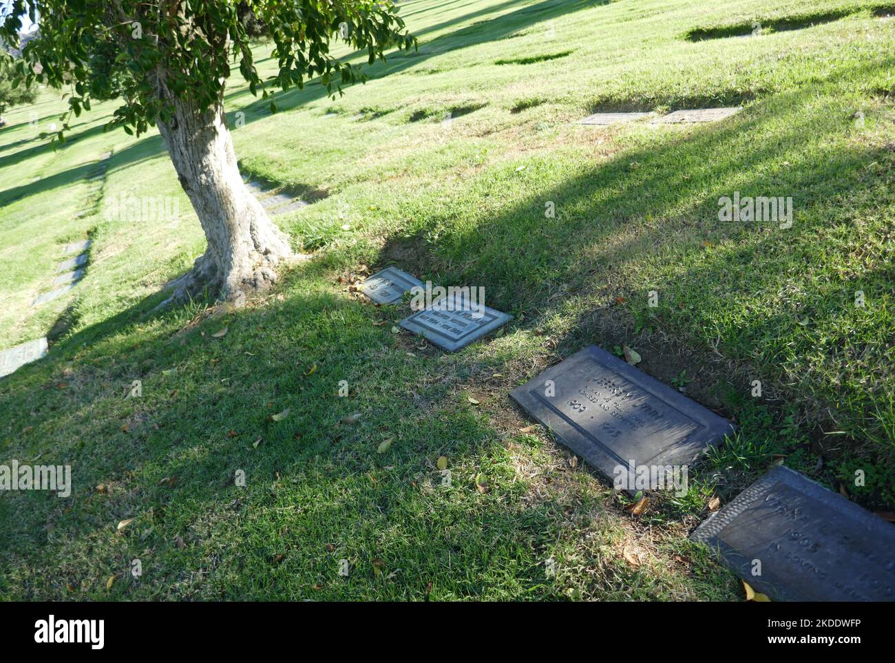 Los Angeles, California, USA 3rd November 2022 Actor Jeffrey Lynn's ...