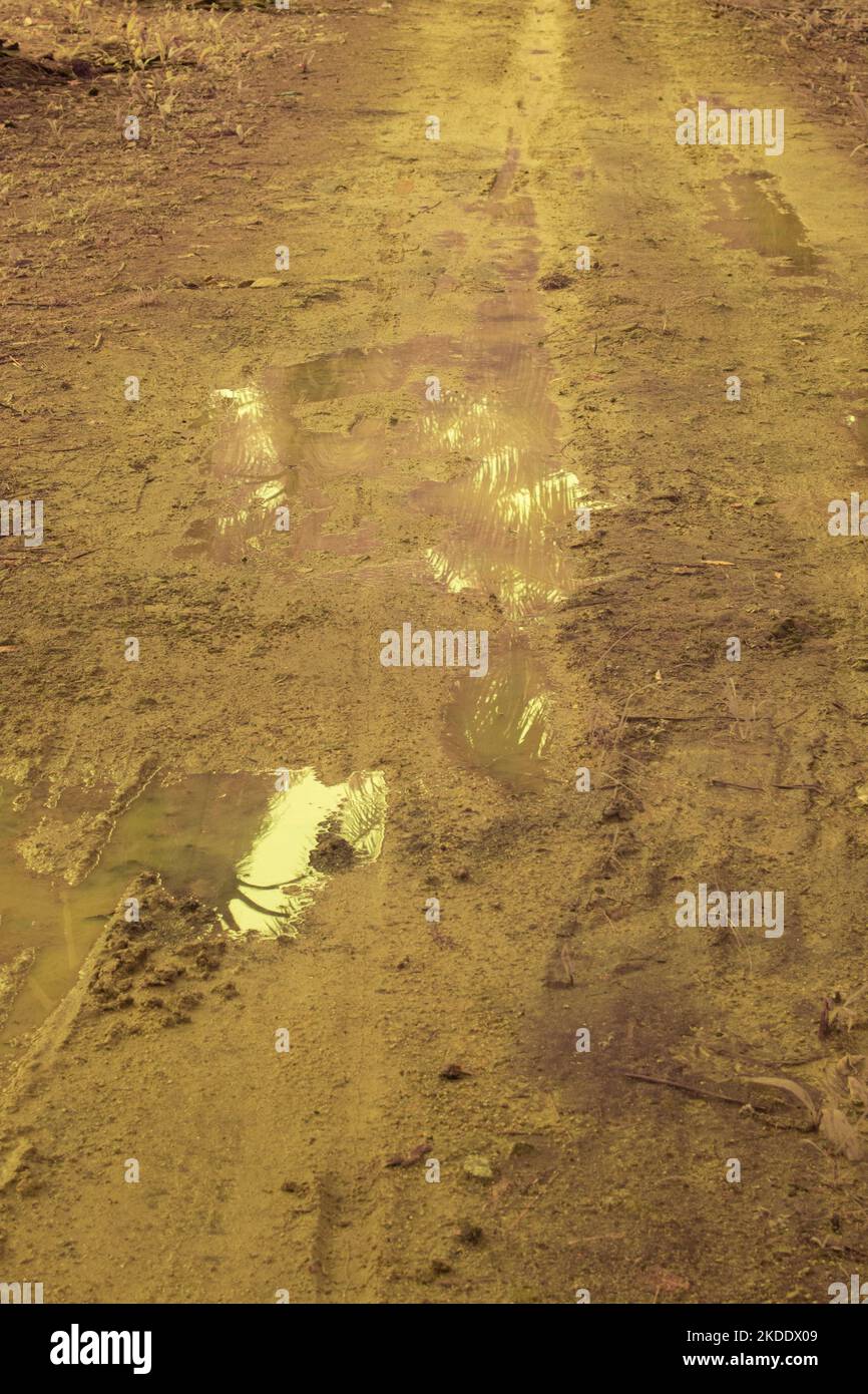 infrared image of the muddy pool of water stagnant on the pathway Stock ...