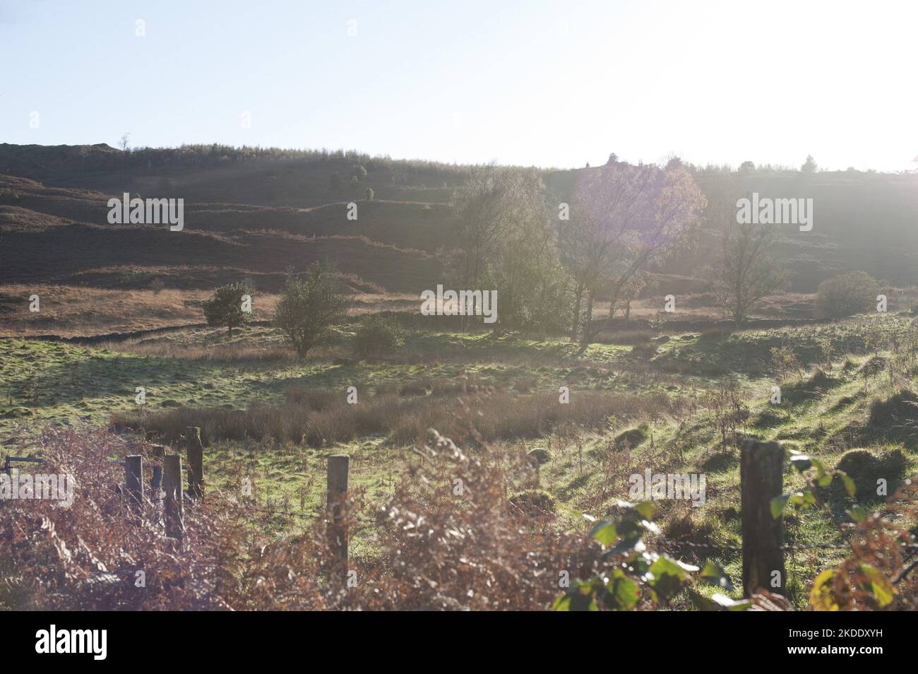 Sunny landscape with sun flare, a rustic fence and open fields and ...
