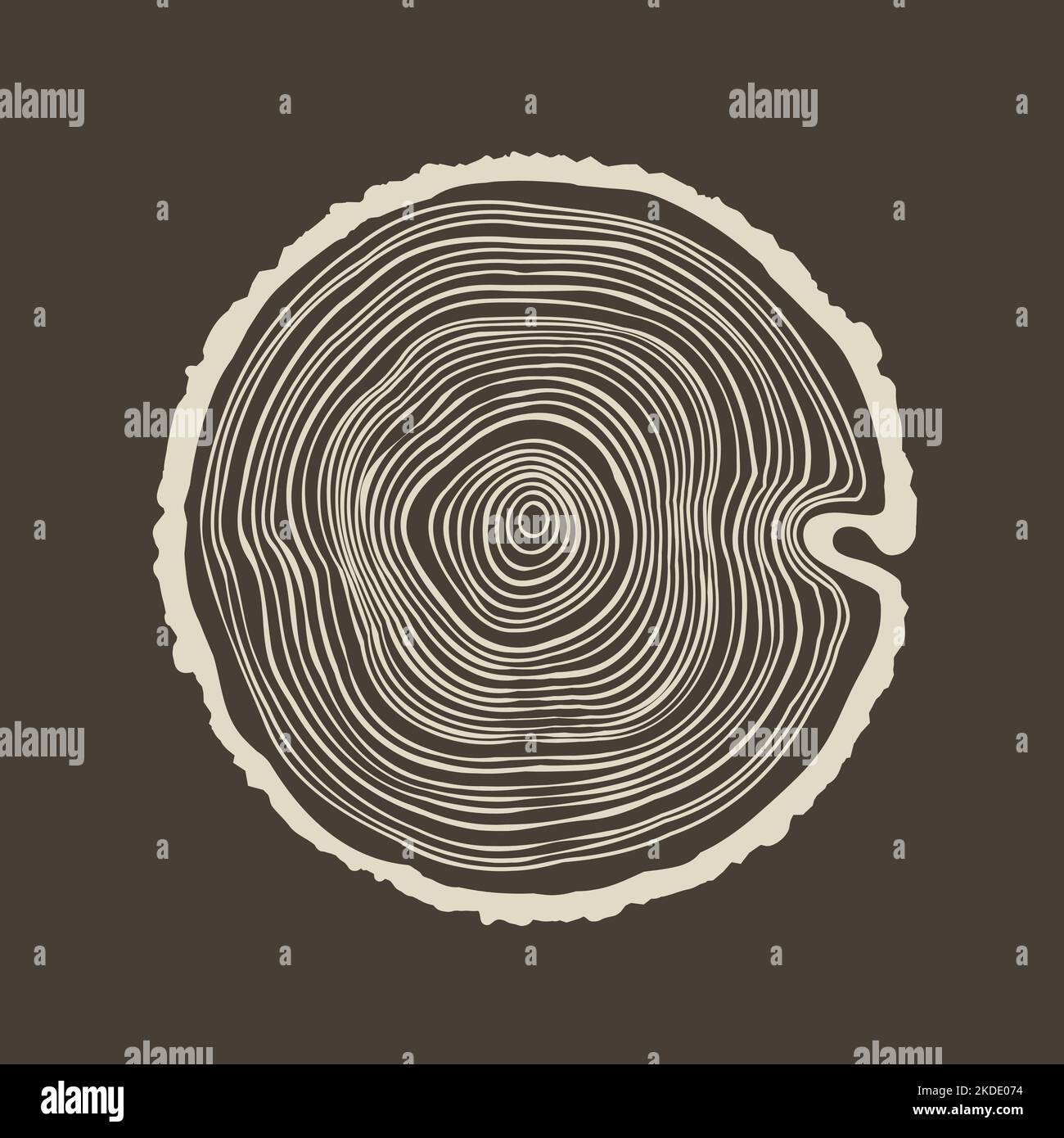 Round tree trunk cut, sawn pine or oak slice. Saw cut timber, wood ...