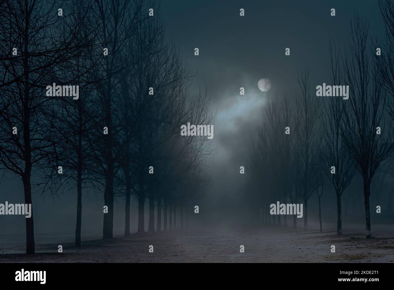 Foggy full moon night in a public park Stock Photo - Alamy