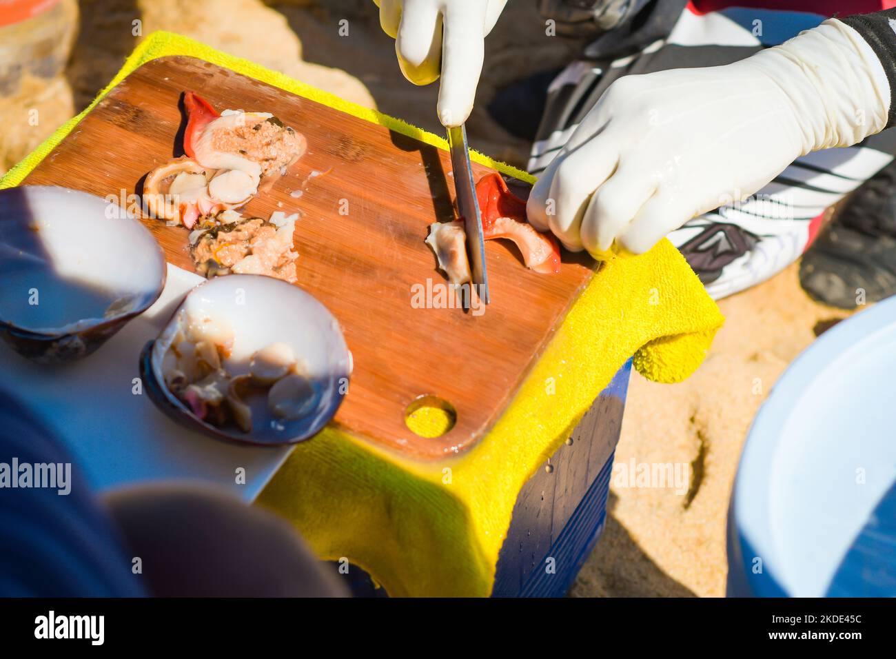 Cleaning and cutting the fine malaga shells by hand in the sea Stock ...