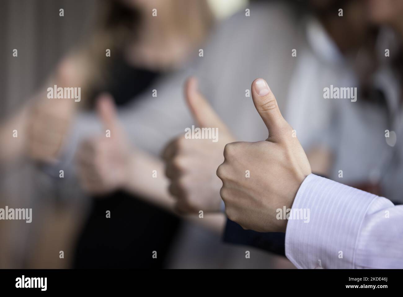 Professional company members close hi-res stock photography and images ...