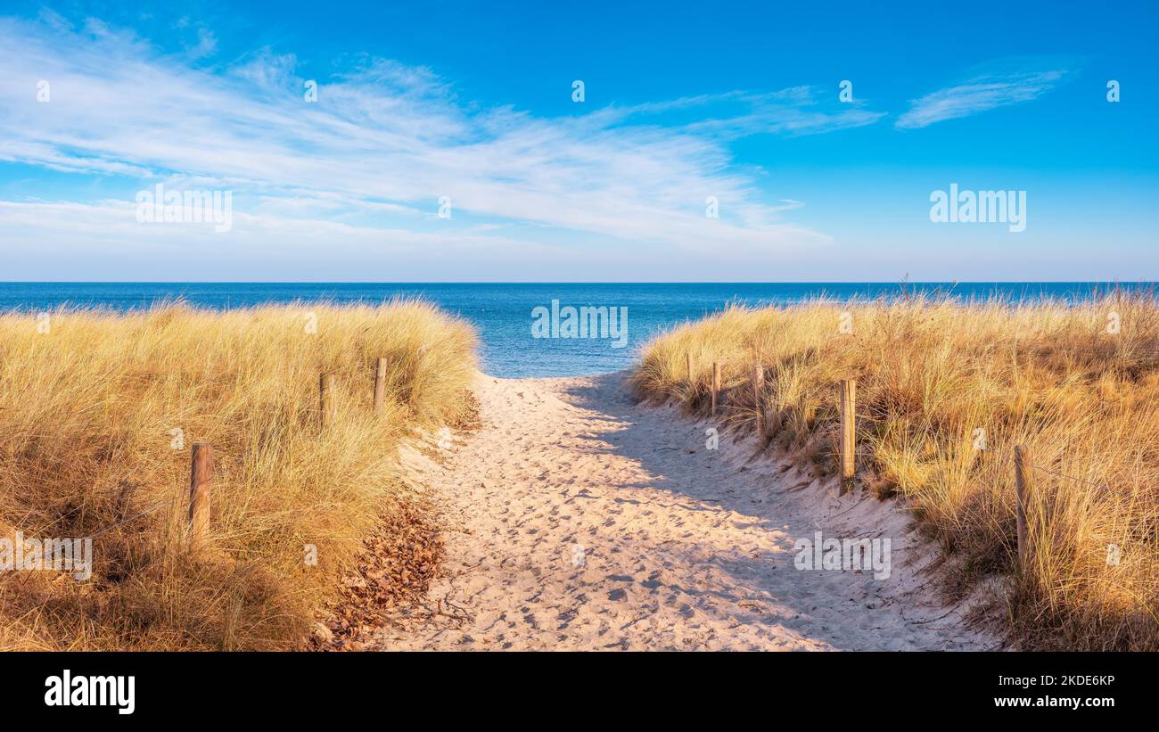 Beach access at the Baltic Sea, path through dunes to the beach, beach ...