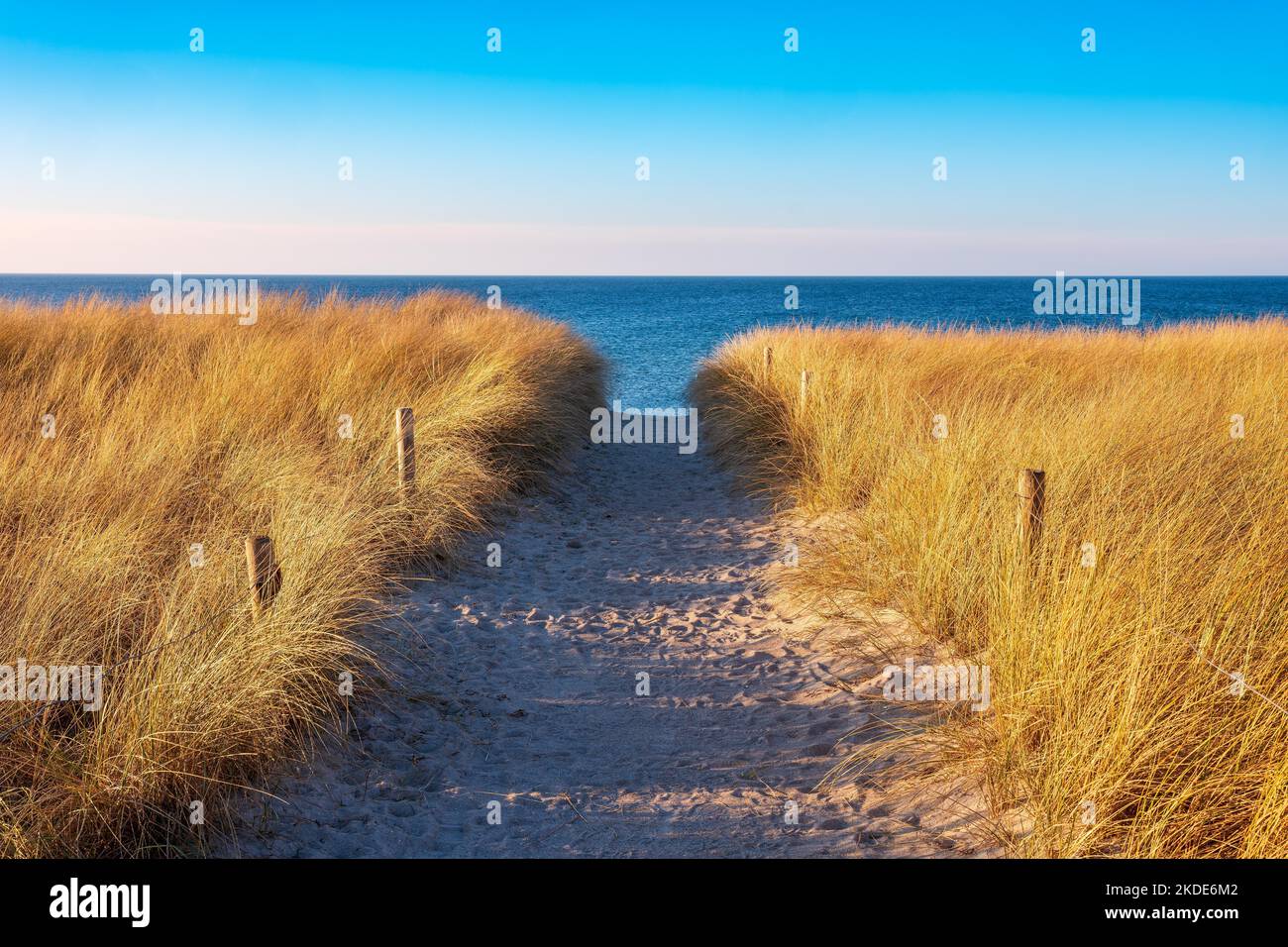Beach access at the Baltic Sea in the evening light, path through dunes ...