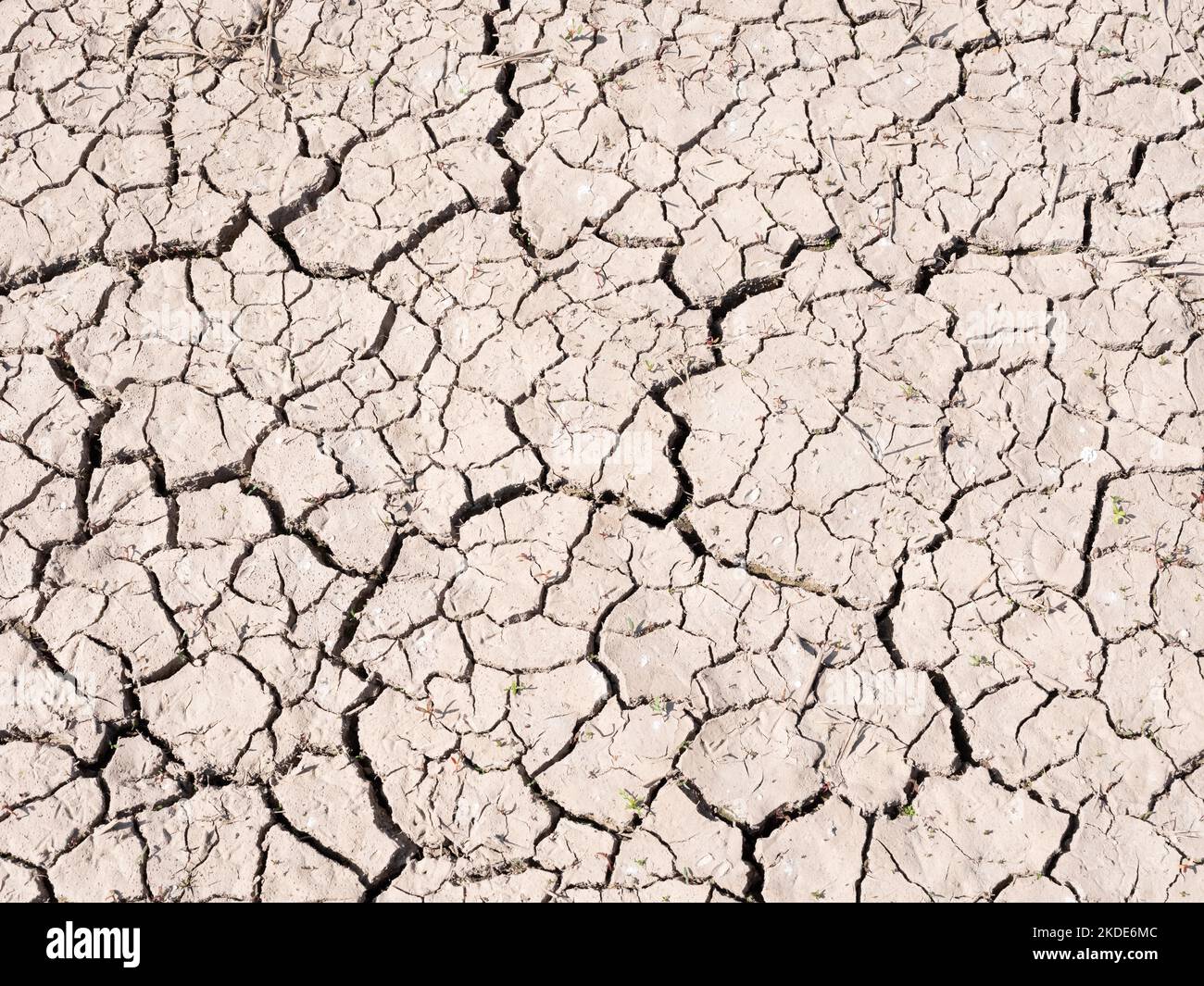 Open cracks hi-res stock photography and images - Alamy