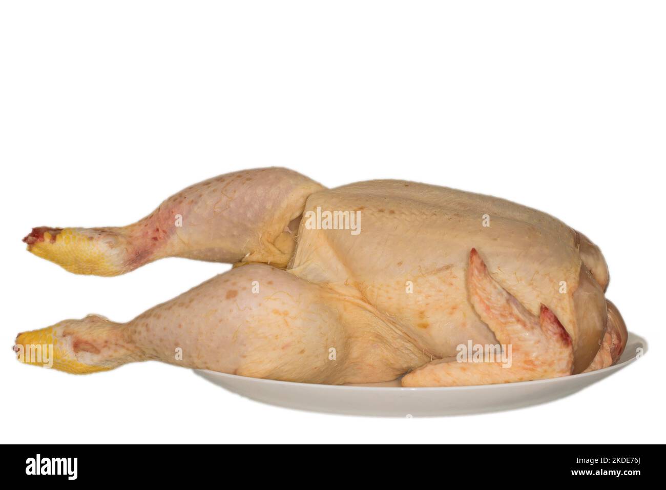 Chicken ready for roasting, food photography with white background ...