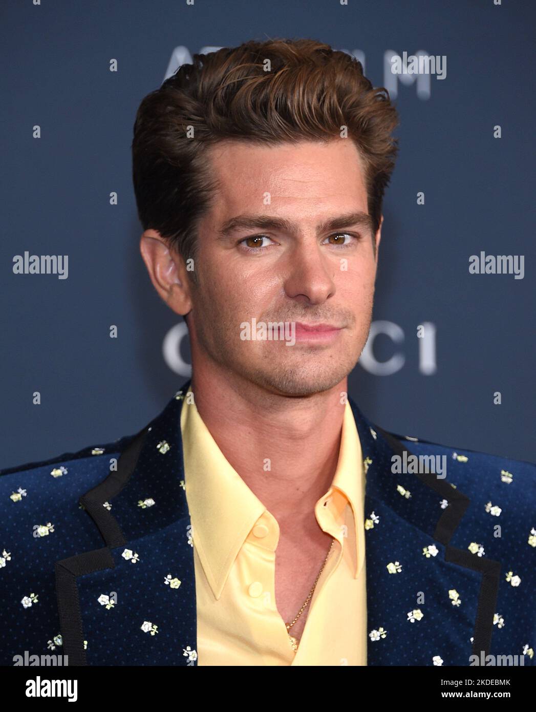 Andrew Garfield arriving to the 2022 LACMA Art + Film Gala held at ...