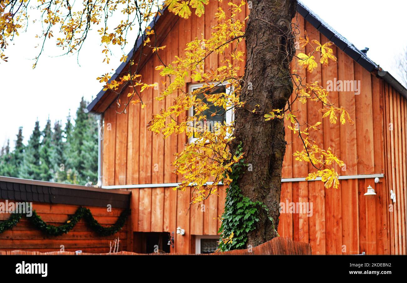 Autumn atmosphere, forest, Iserlohn, Germany Stock Photo - Alamy