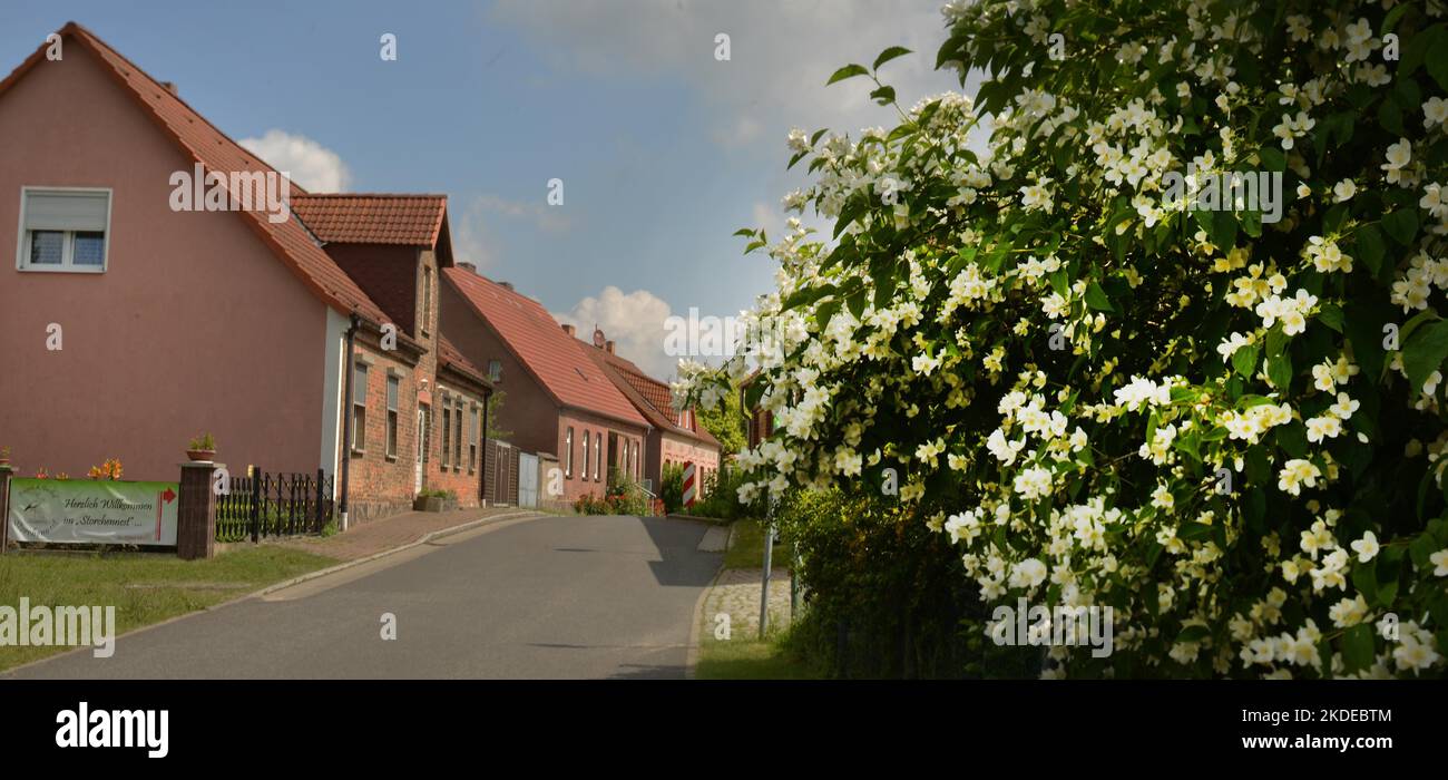 The Strelitz Lake District, part of the Mecklemburg Lake District ...