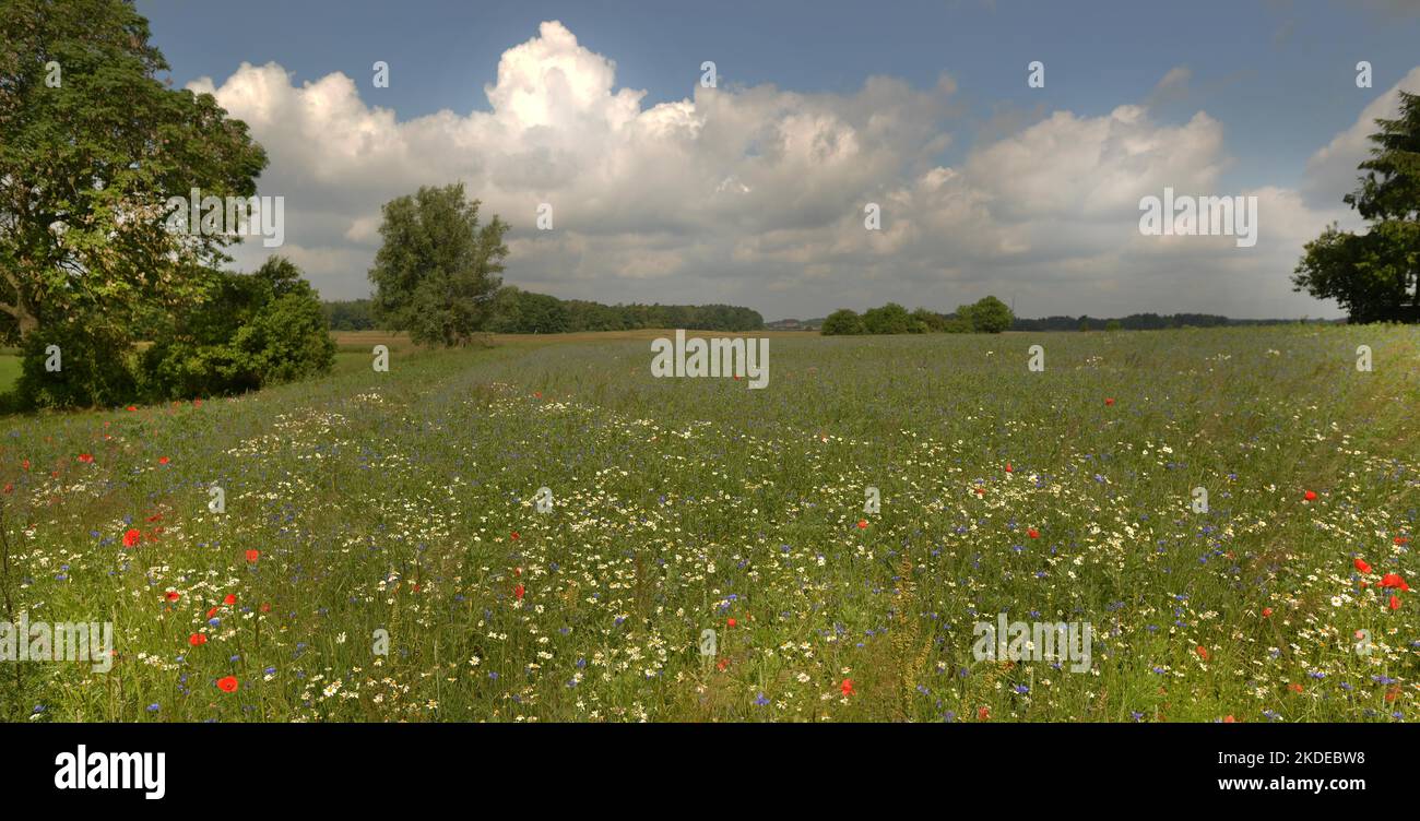 The Strelitz Lake District, part of the Mecklemburg Lake District ...
