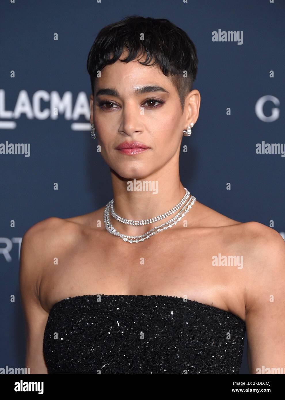 Sofia Boutella arriving to the 2022 LACMA Art + Film Gala held at LACMA ...