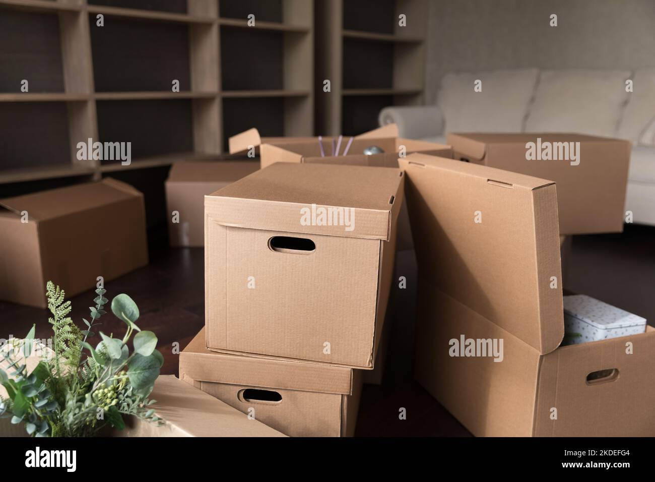 Cardboard boxes full of personal belongings in living room Stock Photo ...
