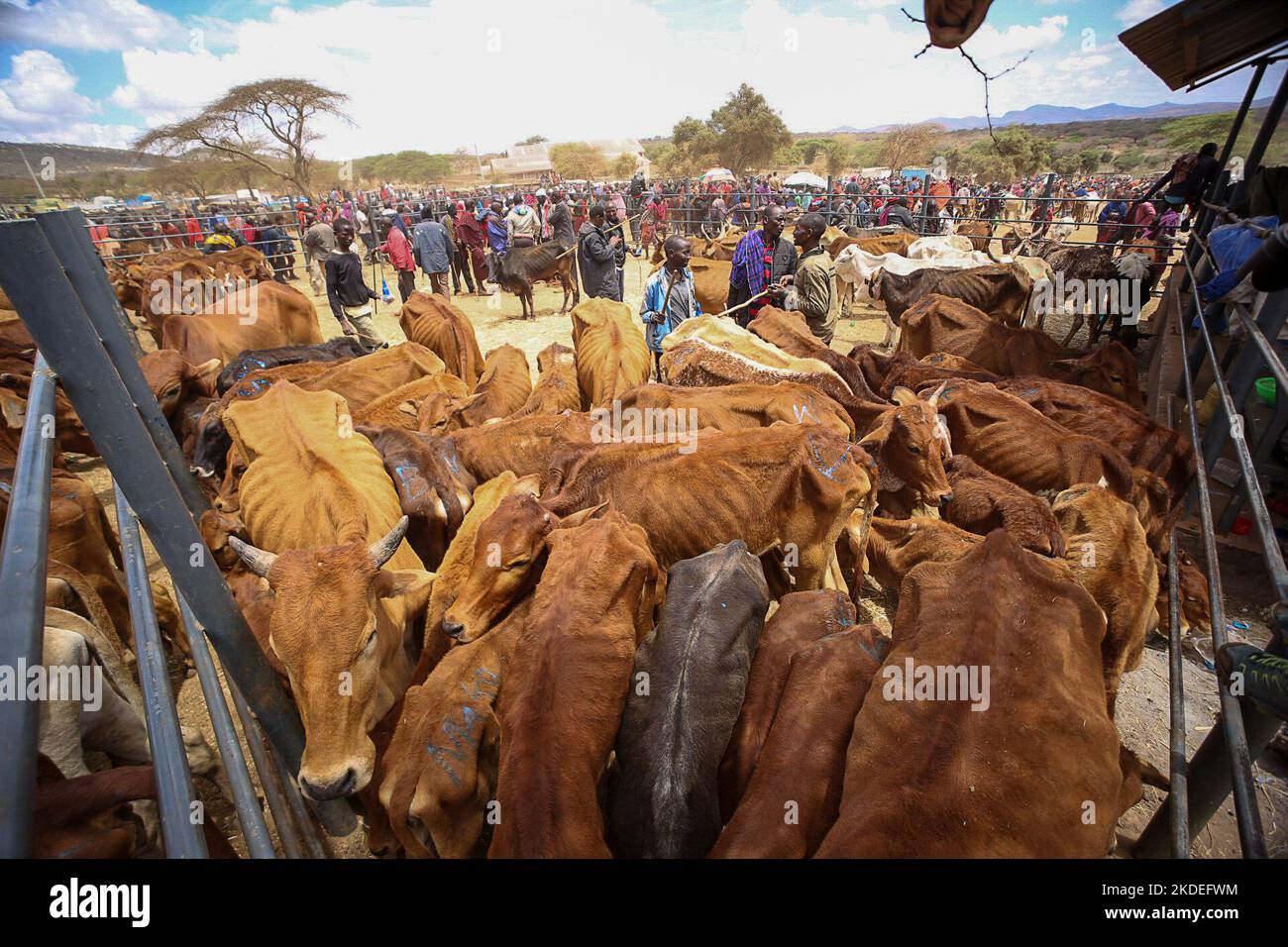 Maasai pastoralist community hi-res stock photography and images - Alamy
