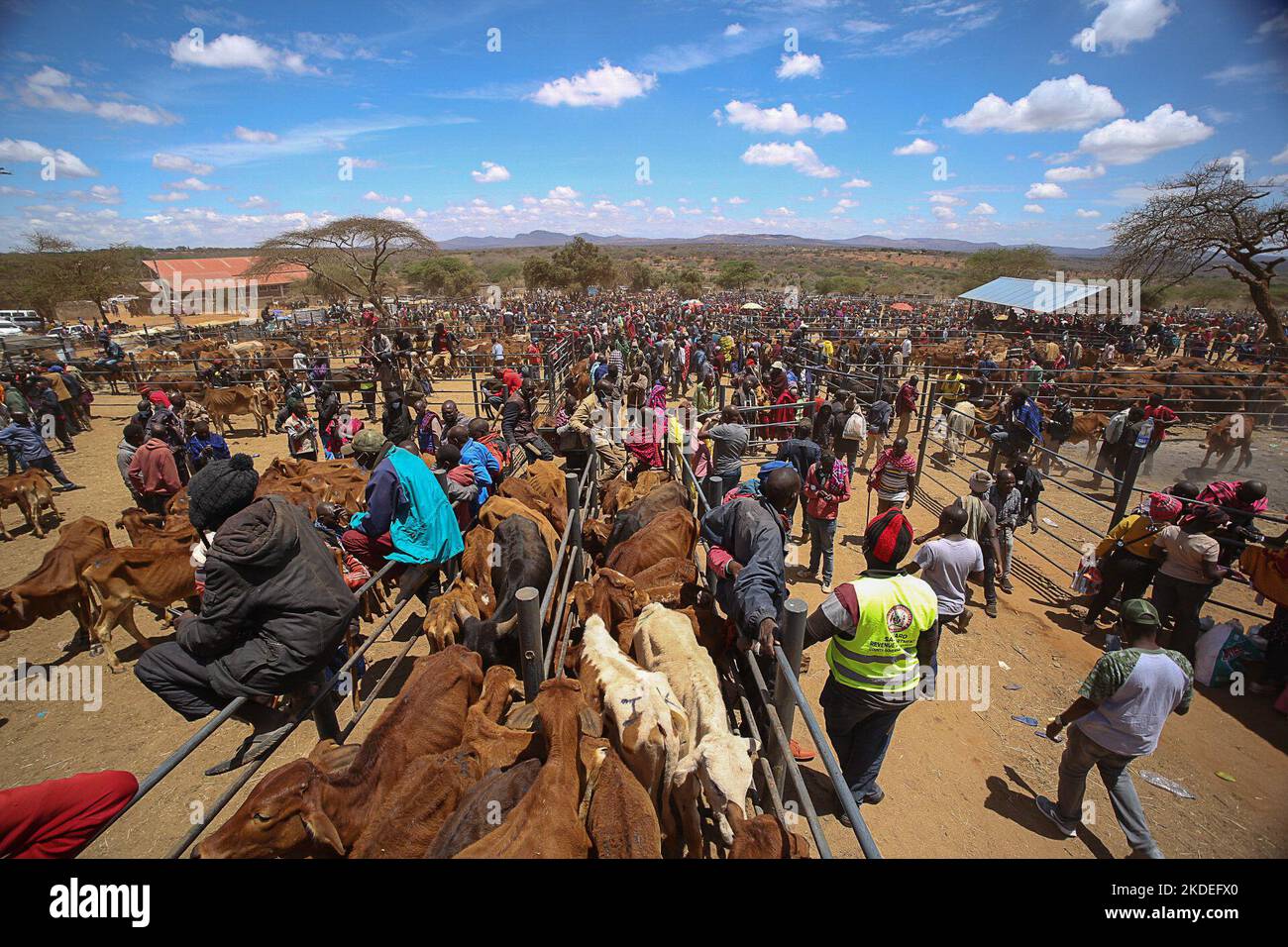 Maasai pastoralists hi-res stock photography and images - Alamy
