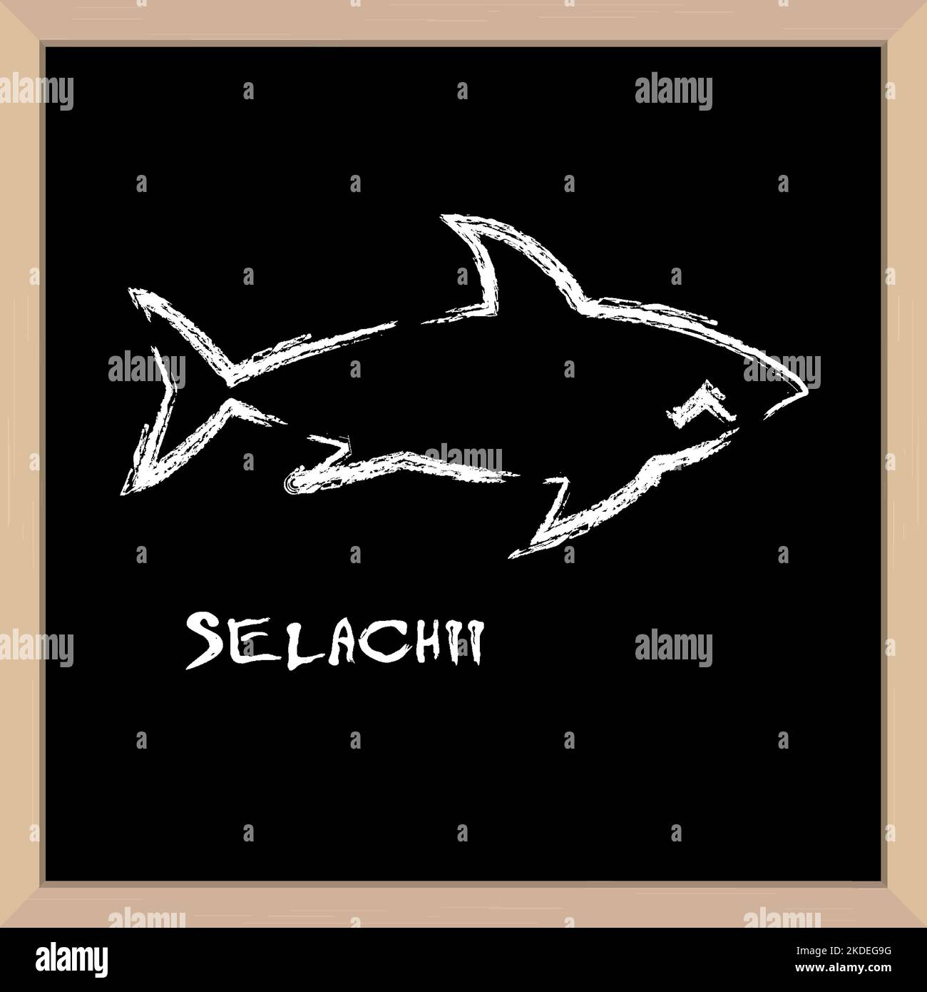 Chalk drawing of shark Stock Vector Images - Alamy