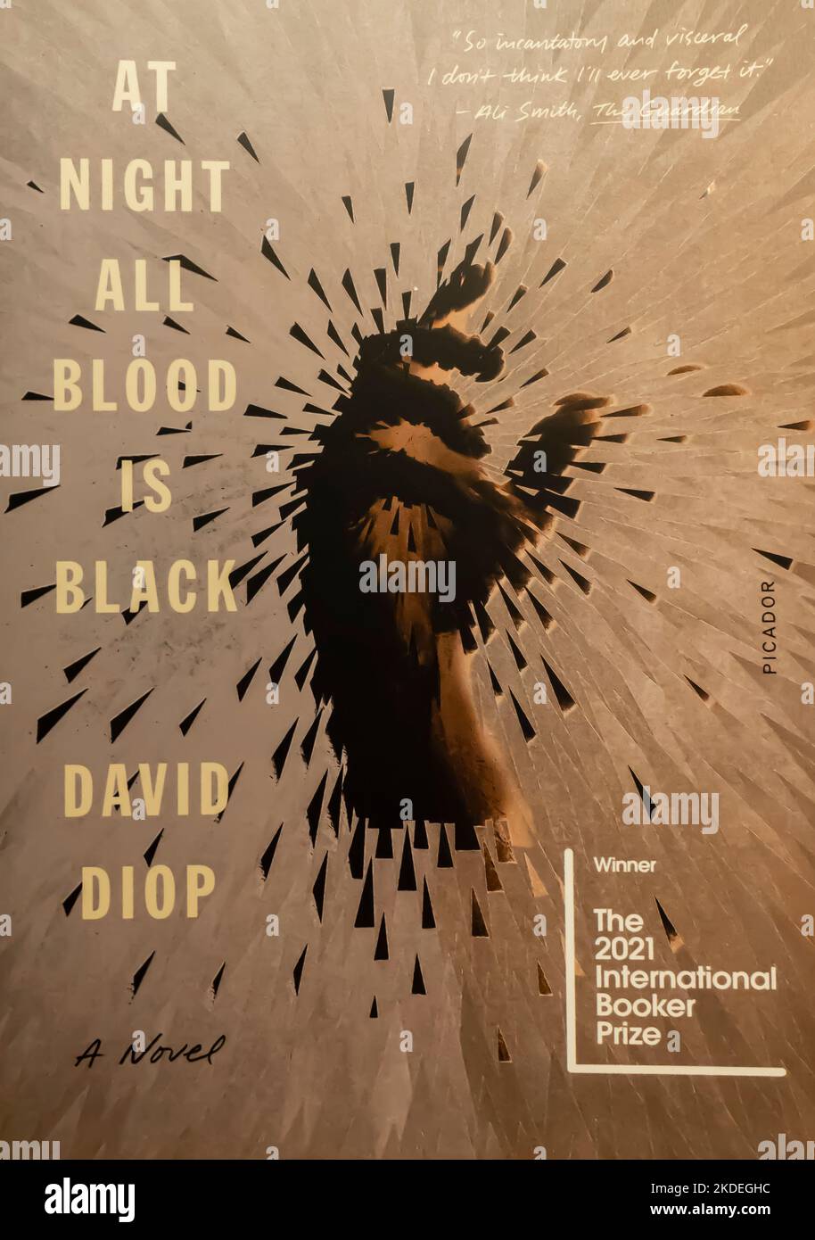 At Night All Blood Is Black by David Diop. 2018 Stock Photo - Alamy