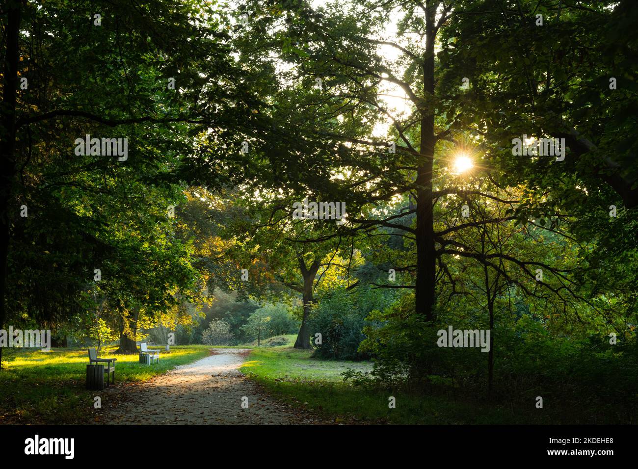 Żagań , Sagan castle and park, Poland Stock Photo - Alamy